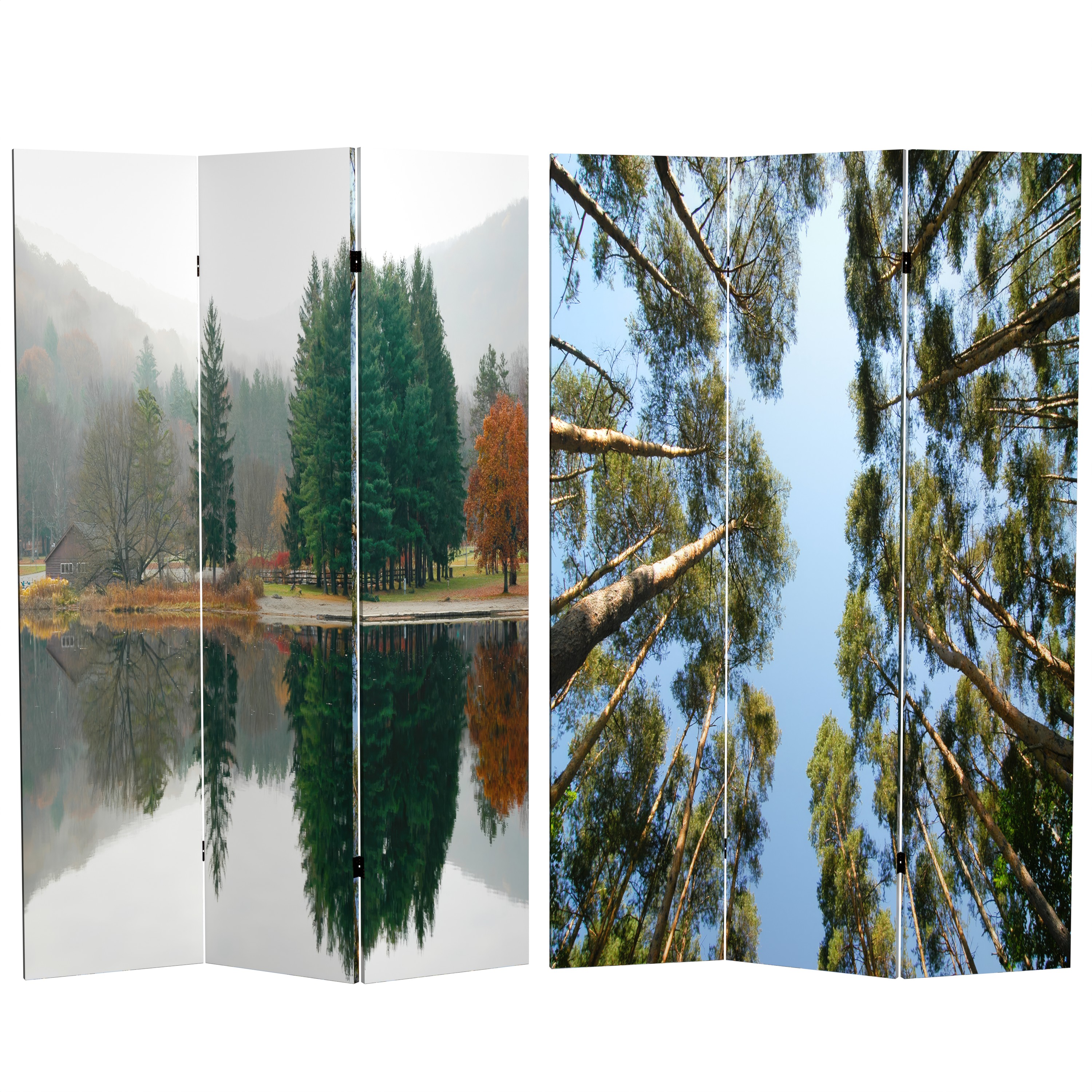 Buy 6 ft. Tall Double Sided Trees Room Divider Online (CAN-TREES3 ...